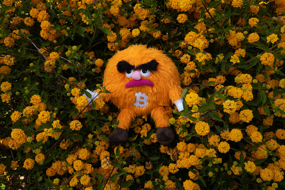 Here Comes Bitcoin – Uncute